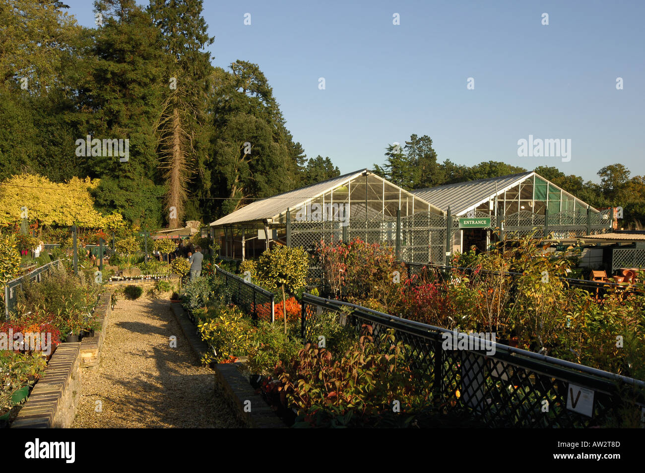 batsford arboretum near moreton in the marsh the cotswolds photographed ...