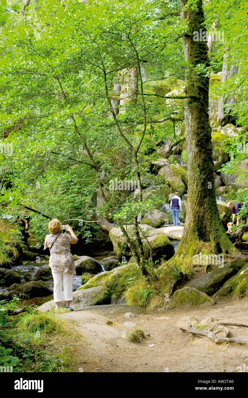 england west country DEVON dartmoor national park the becky falls ...