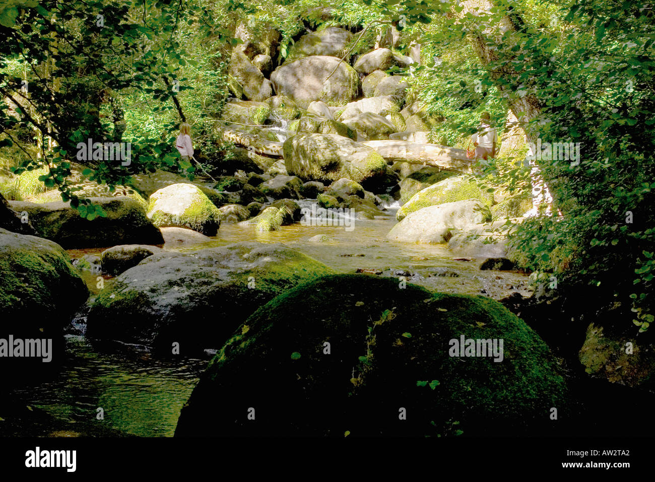england west country DEVON dartmoor national park the becky falls ...