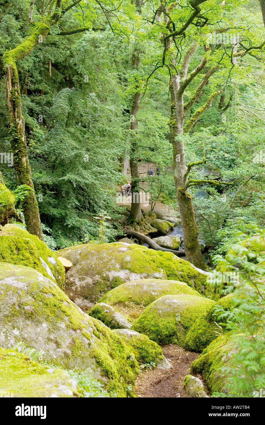 england west country DEVON dartmoor national park the becky falls ...