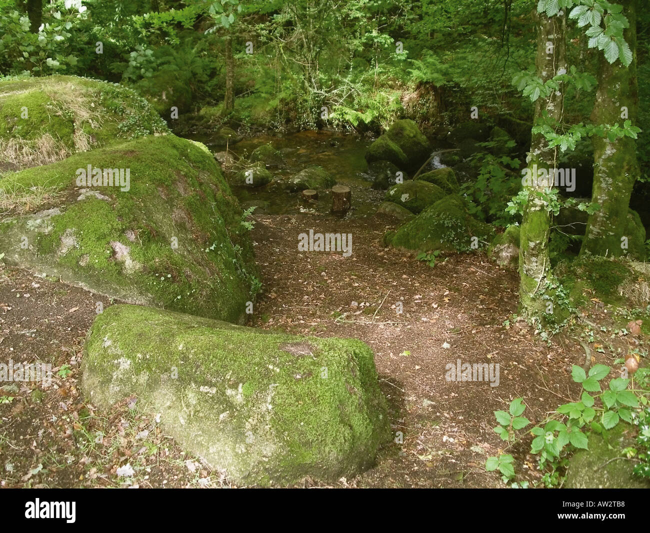 Becky falls woodland park hi-res stock photography and images - Alamy