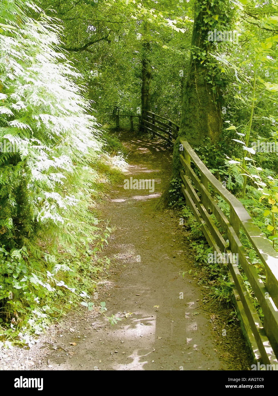 england west country DEVON dartmoor national park the becky falls ...