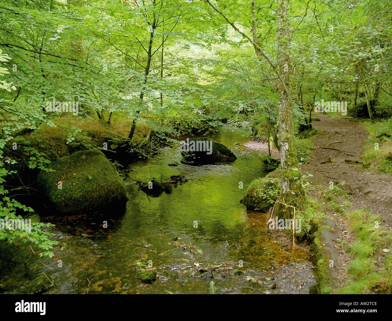 england west country DEVON dartmoor national park the becky falls ...