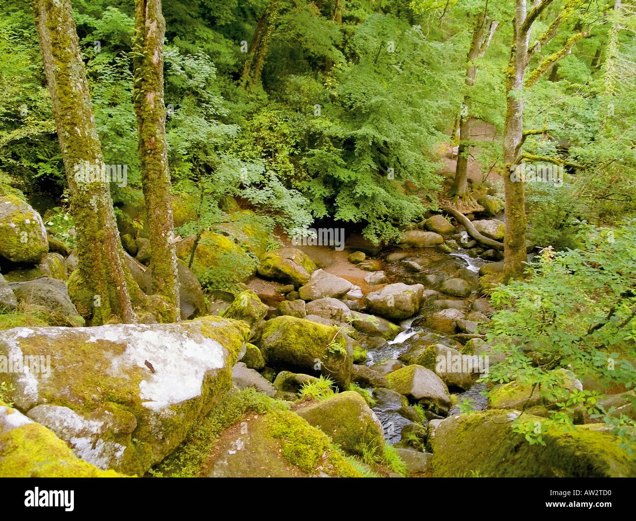 england west country DEVON dartmoor national park the becky falls ...