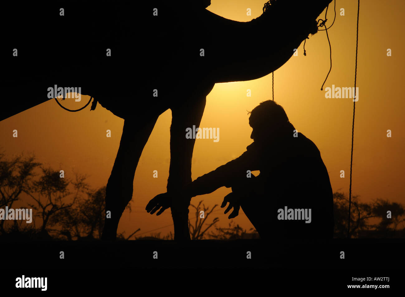 India fair end hi-res stock photography and images - Alamy