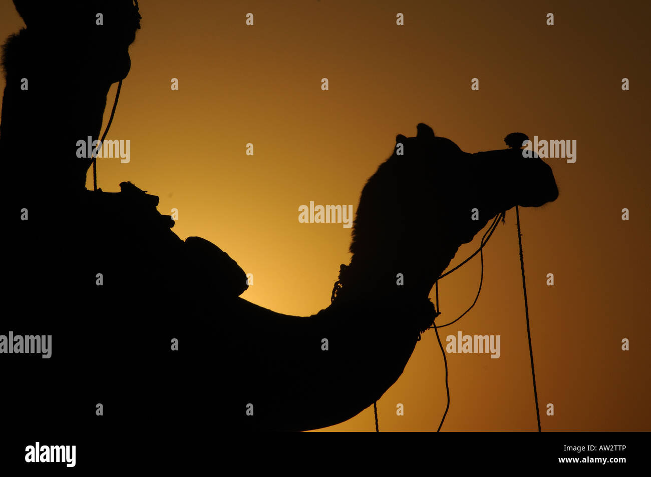 Sunset in Naguar Rajasthan Stock Photo - Alamy