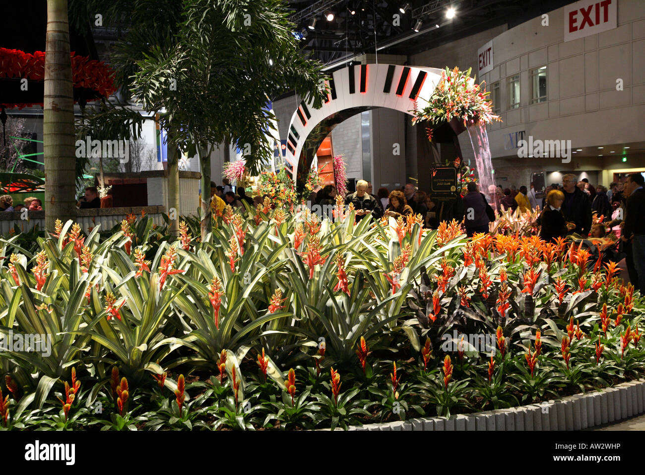 Large bed of leafy red bromeliads with huge arch of piano keys and ...