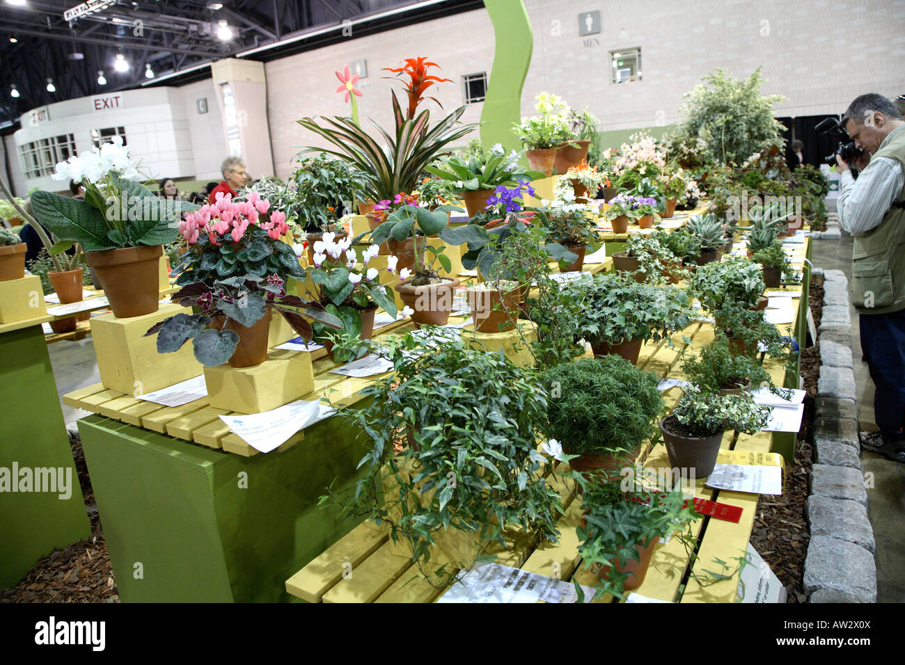 An array of different plants hi-res stock photography and images - Alamy