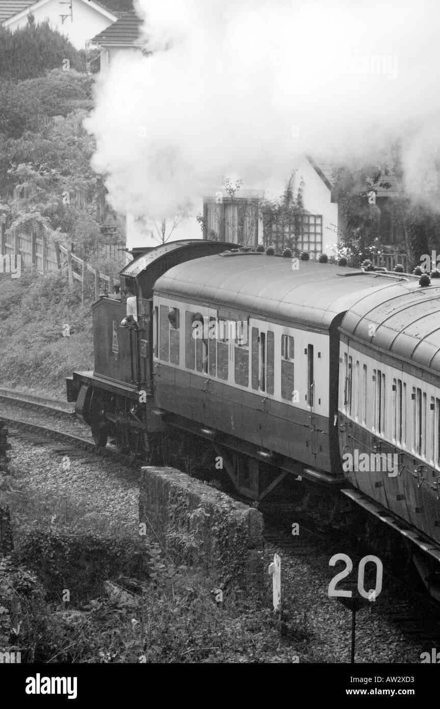 england west country devon the south devon railway buckfastleigh ...