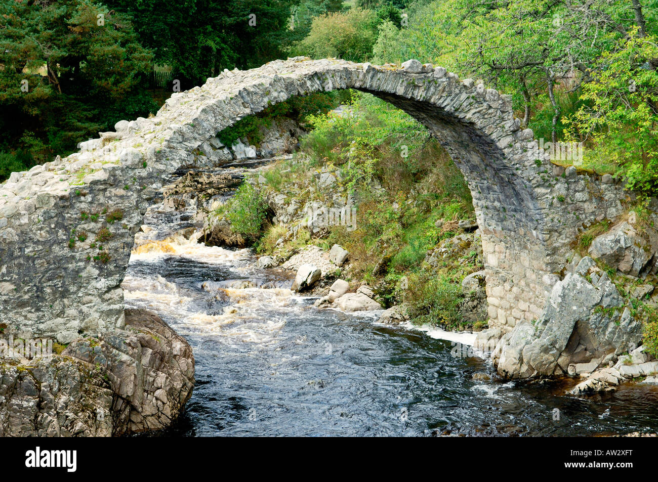 Old stone packhorse stone bridge over River Dulnain at Carrbridge near ...