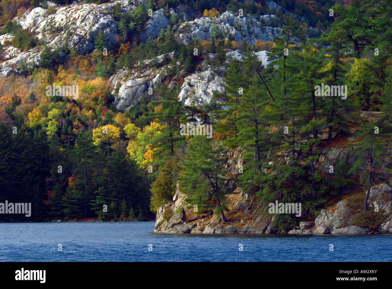 O.S.A. Lake shoreline, Killarney Provincial Park, Ontario Stock Photo ...