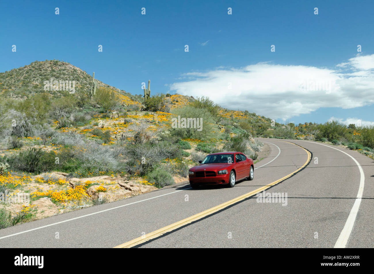 Car cruises hi-res stock photography and images - Alamy
