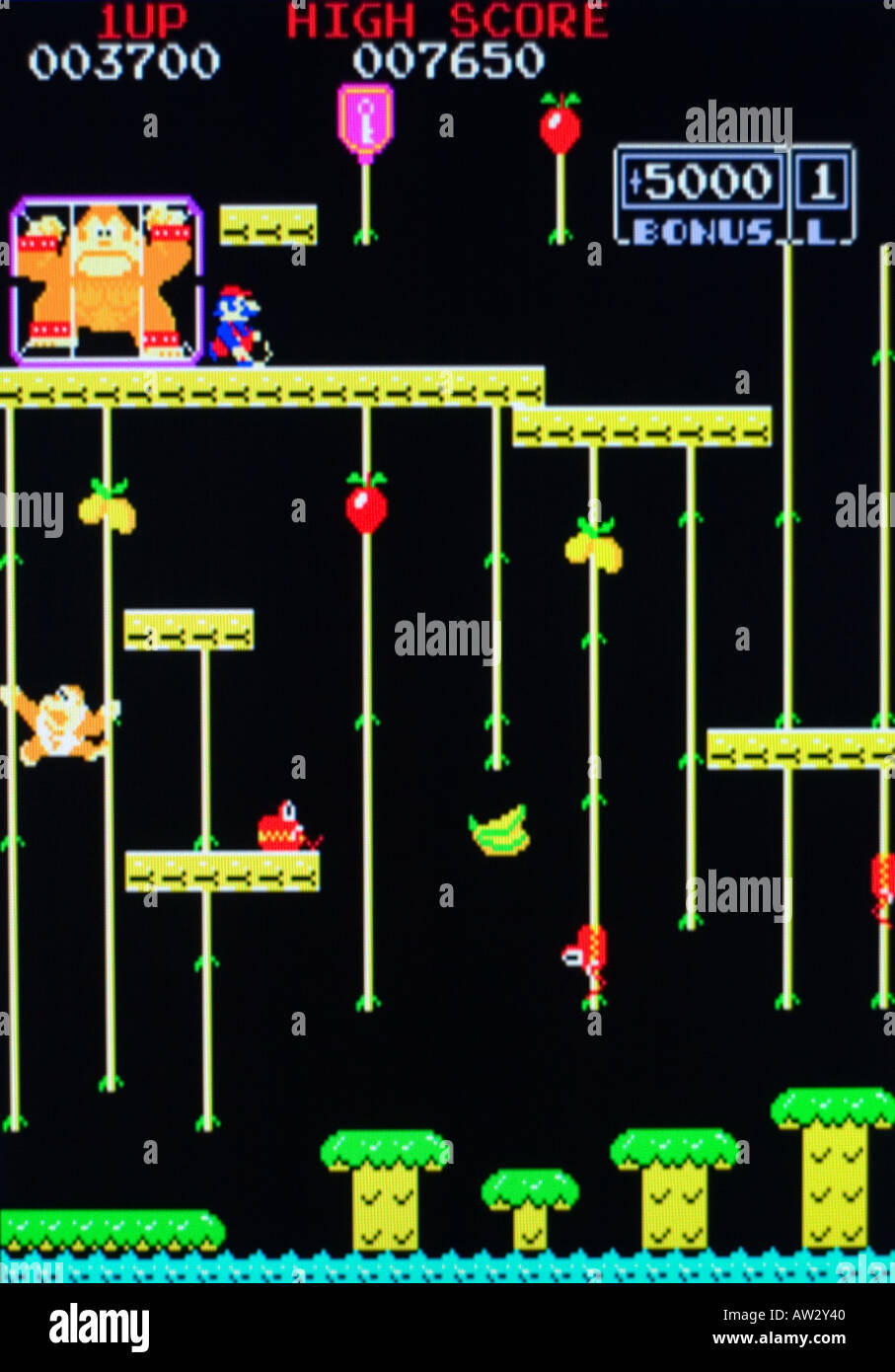 Donkey Kong Junior Jr Nintendo 1982 Vintage arcade videogame screen ...