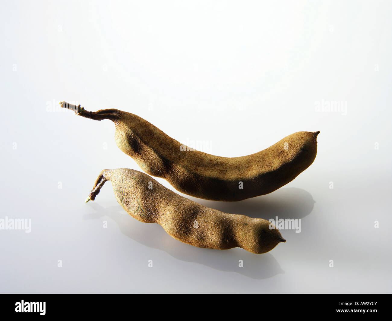 L indica hi-res stock photography and images - Alamy