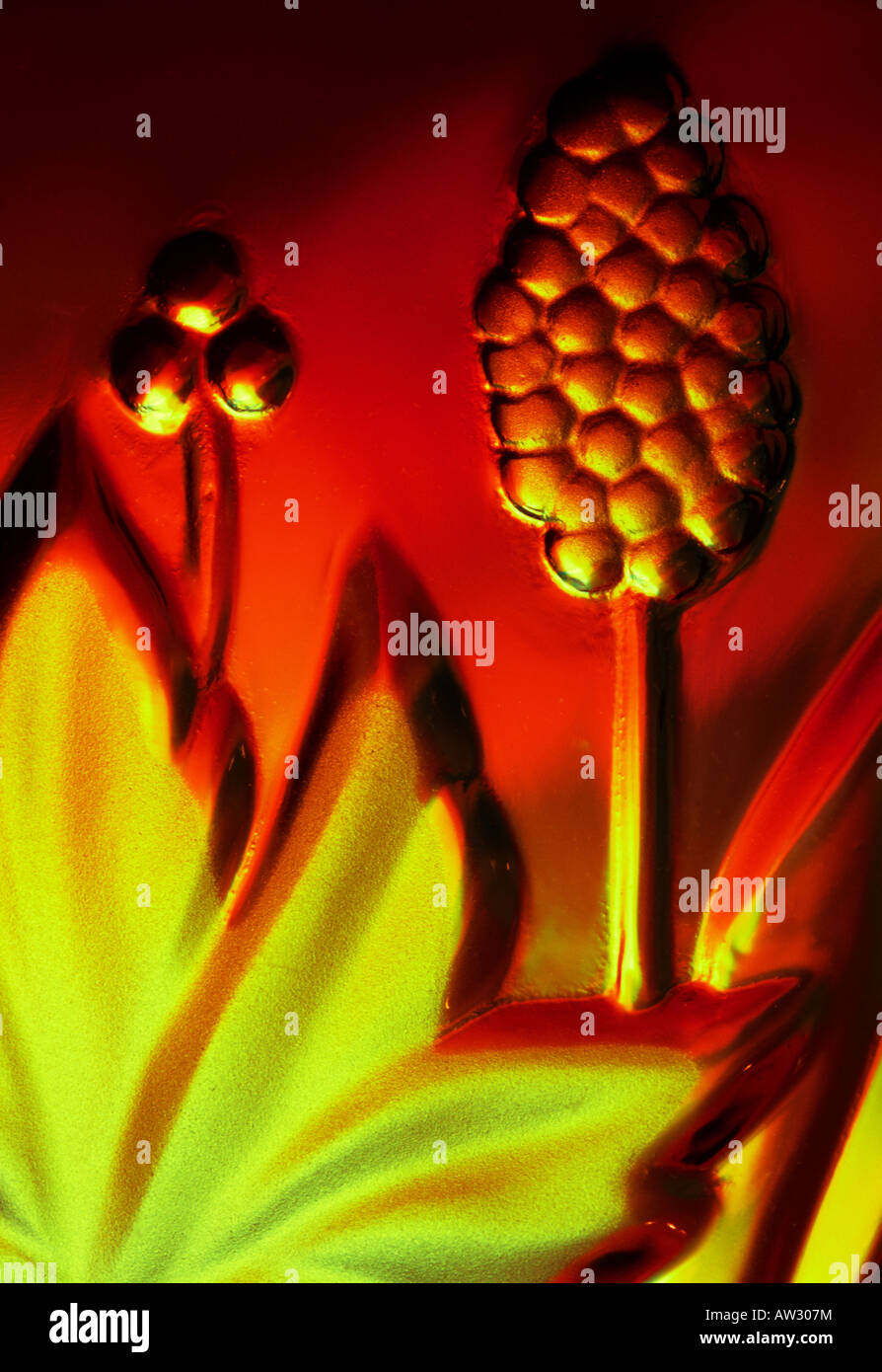 floral expression in glass flower magic magical imaginary imagery ...