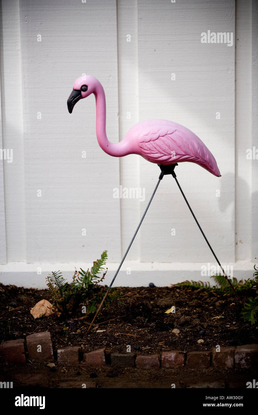 plastic, pink flamingo in front of white wall Stock Photo - Alamy