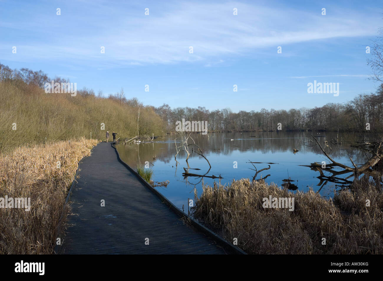 Fradley Pool Nature Reserve Fradley Junction, Alrewas, Burton-on-Trent ...