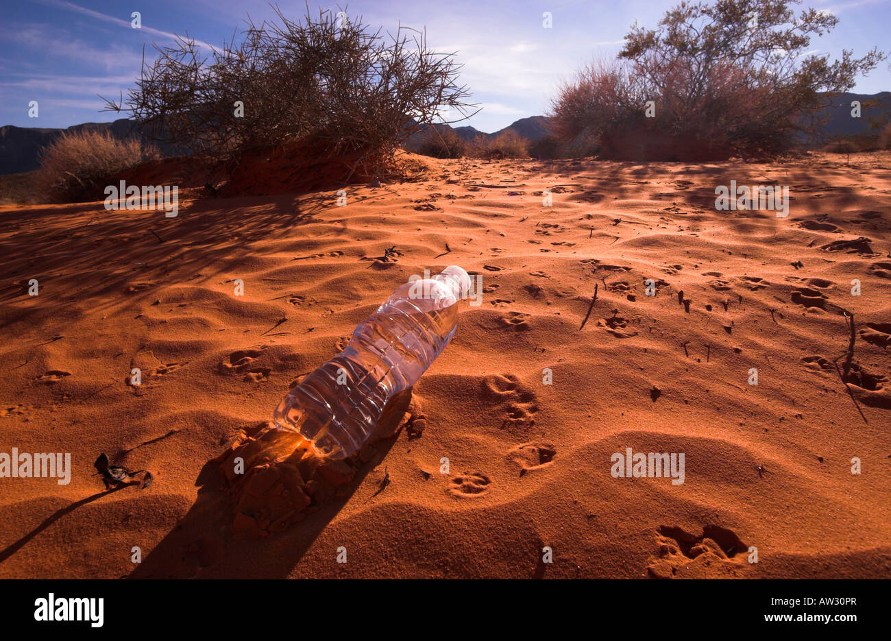 A bottle of water in a desert Stock Photo - Alamy