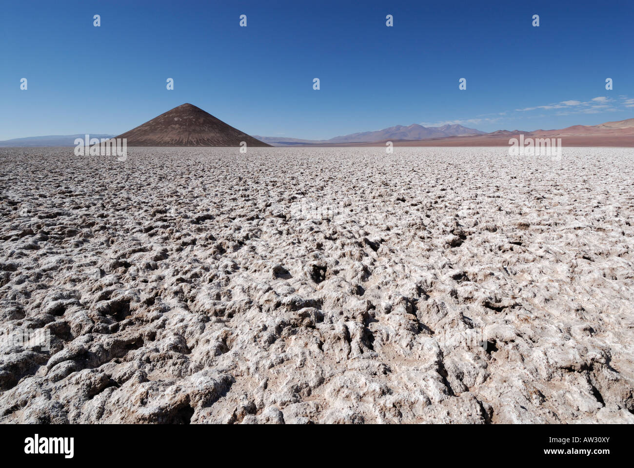Cono de arita argentina hi-res stock photography and images - Alamy