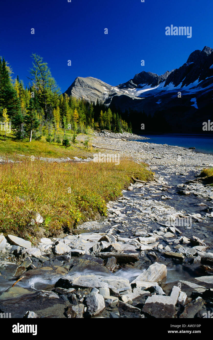 Floe lake kootenay national park hi-res stock photography and images ...