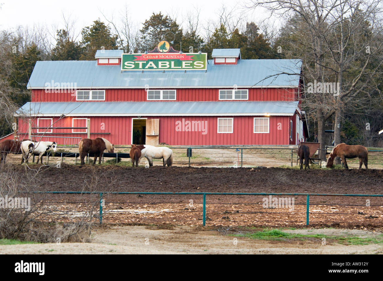 Horse riding enclosure hi-res stock photography and images - Alamy