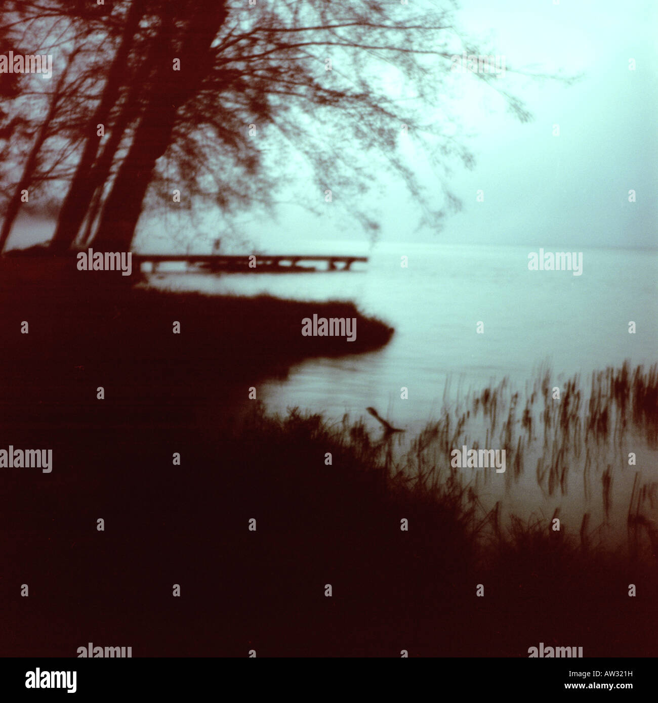 Stark hi-res stock photography and images - Alamy