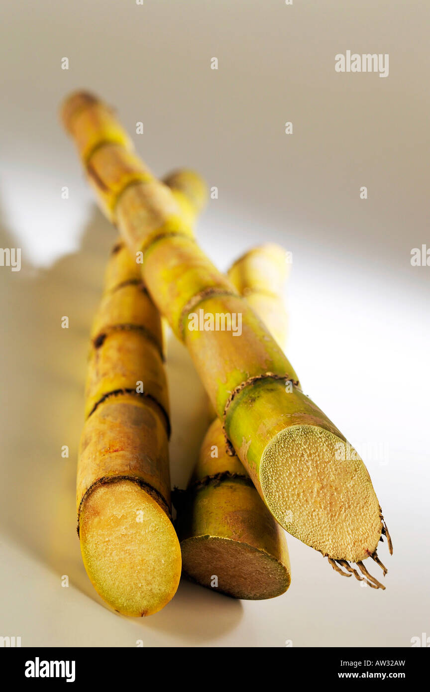 Stack of cut sugar canes Stock Photo - Alamy
