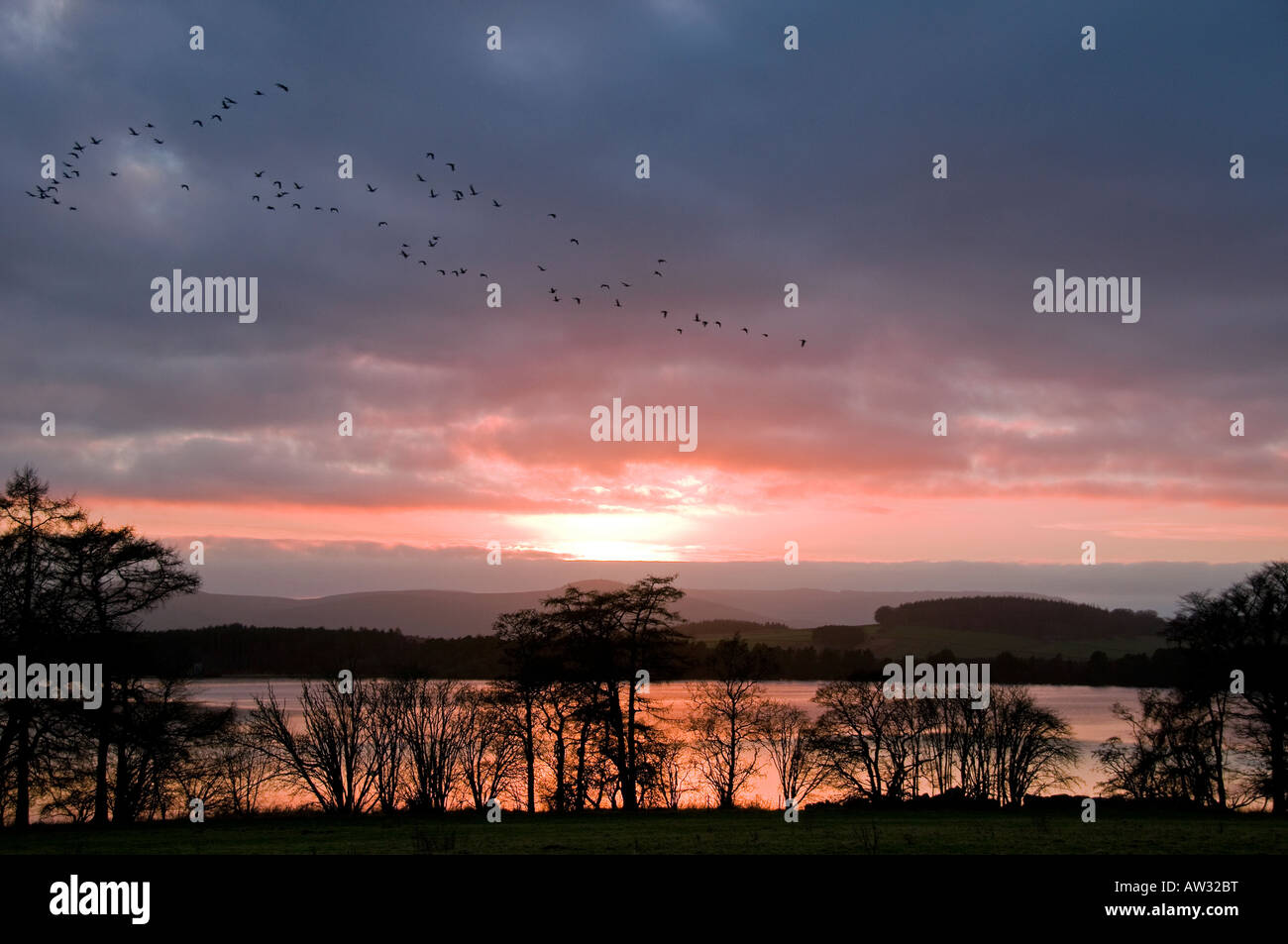 Loch of Skene at Dusk Stock Photo - Alamy