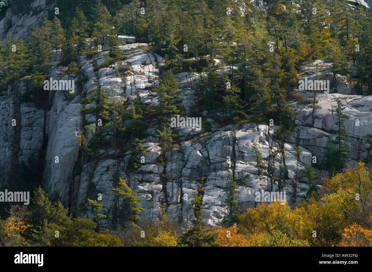 La cloche range hi-res stock photography and images - Alamy