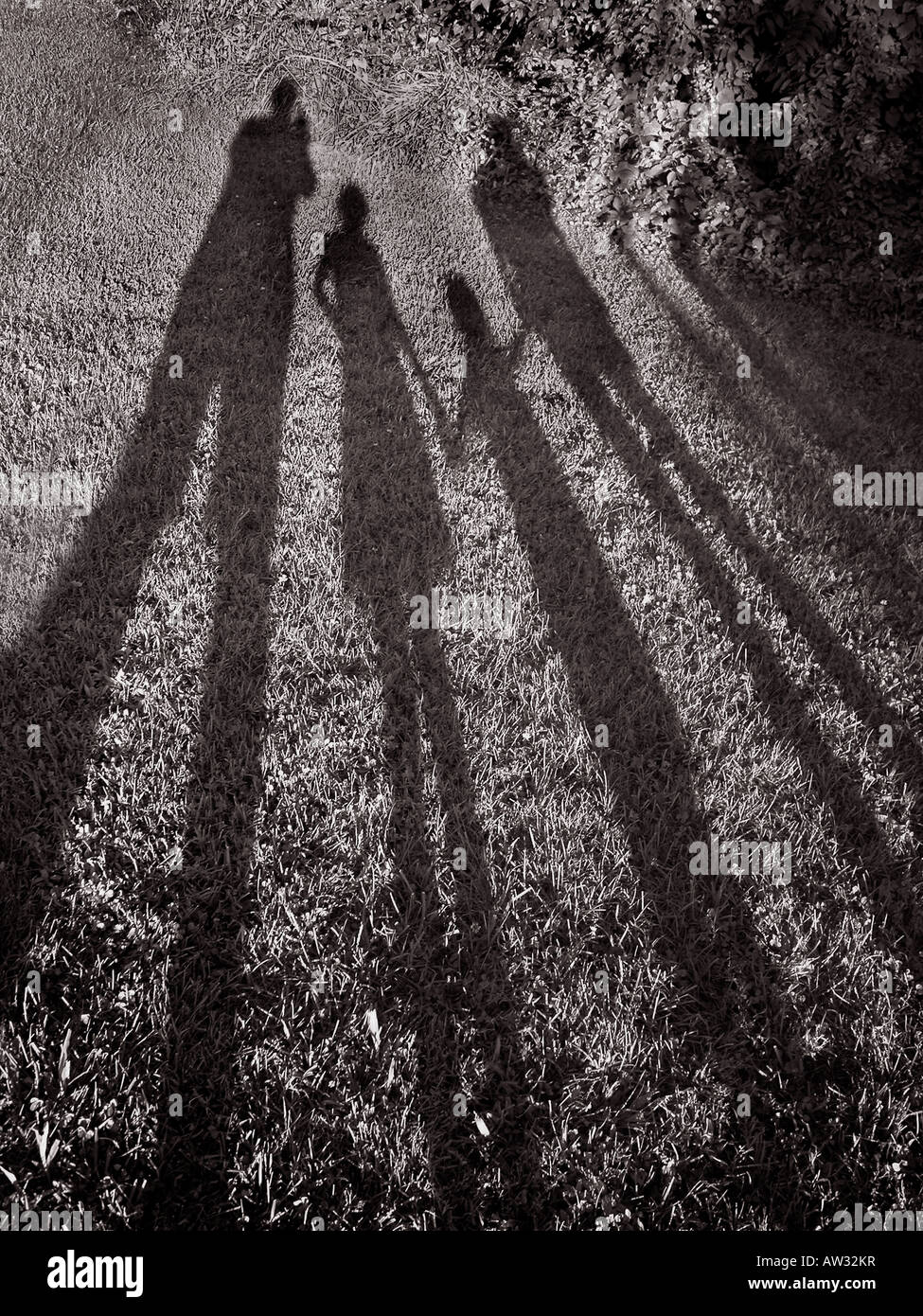 shadow of family of four Stock Photo - Alamy