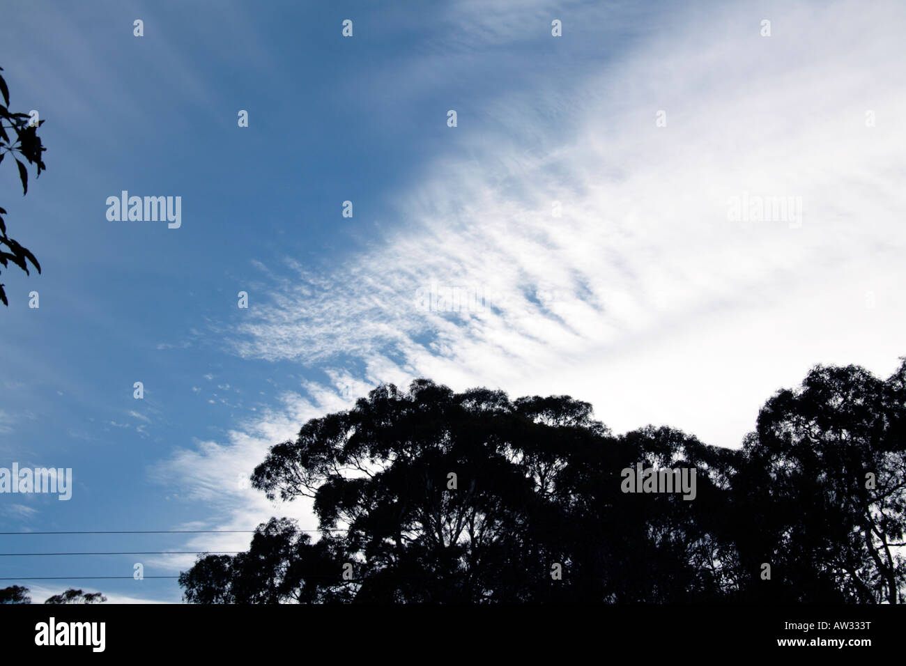 Altocumulus Undulatus Clouds Stock Photo - Alamy