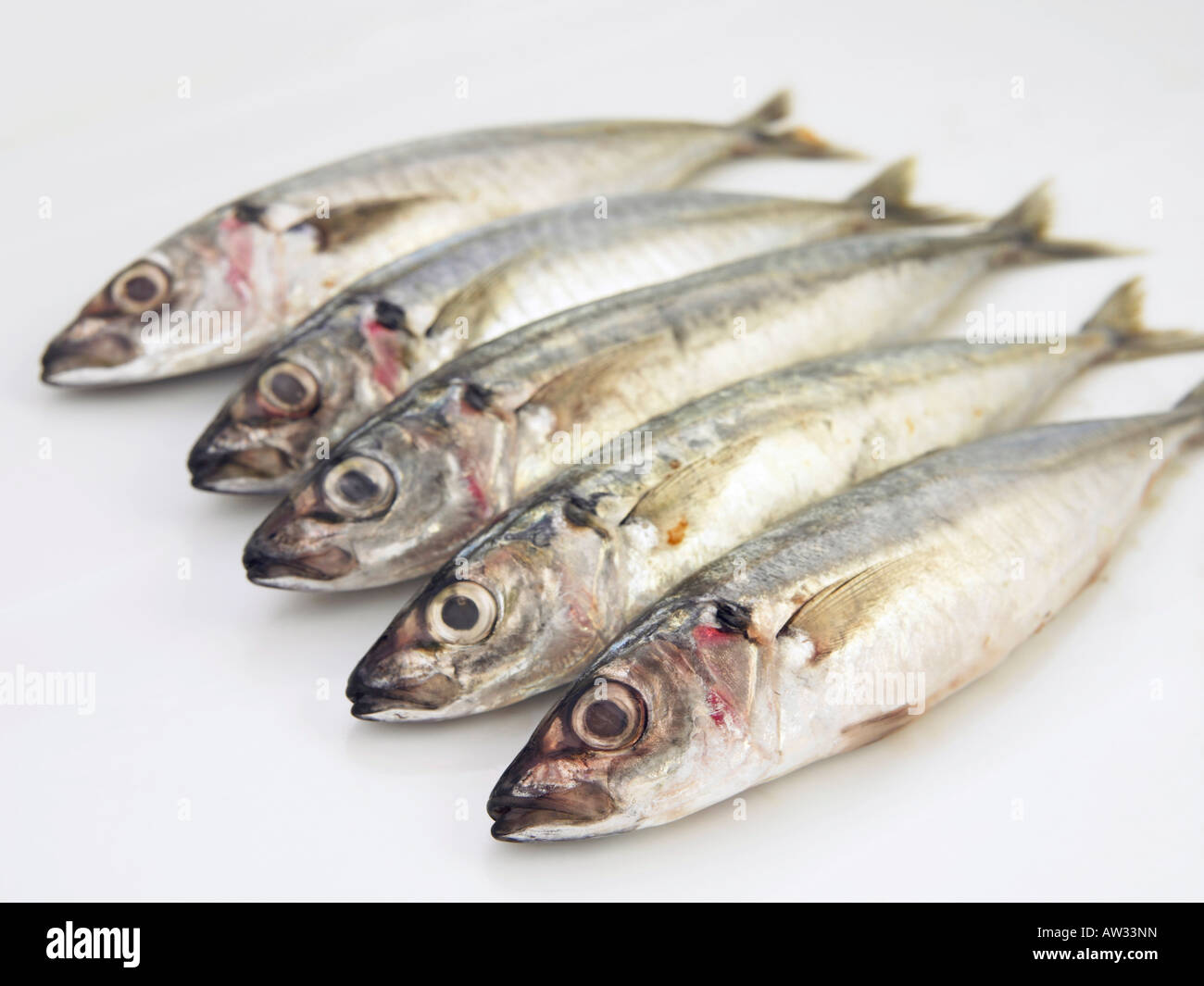 Kerapu hi-res stock photography and images - Alamy