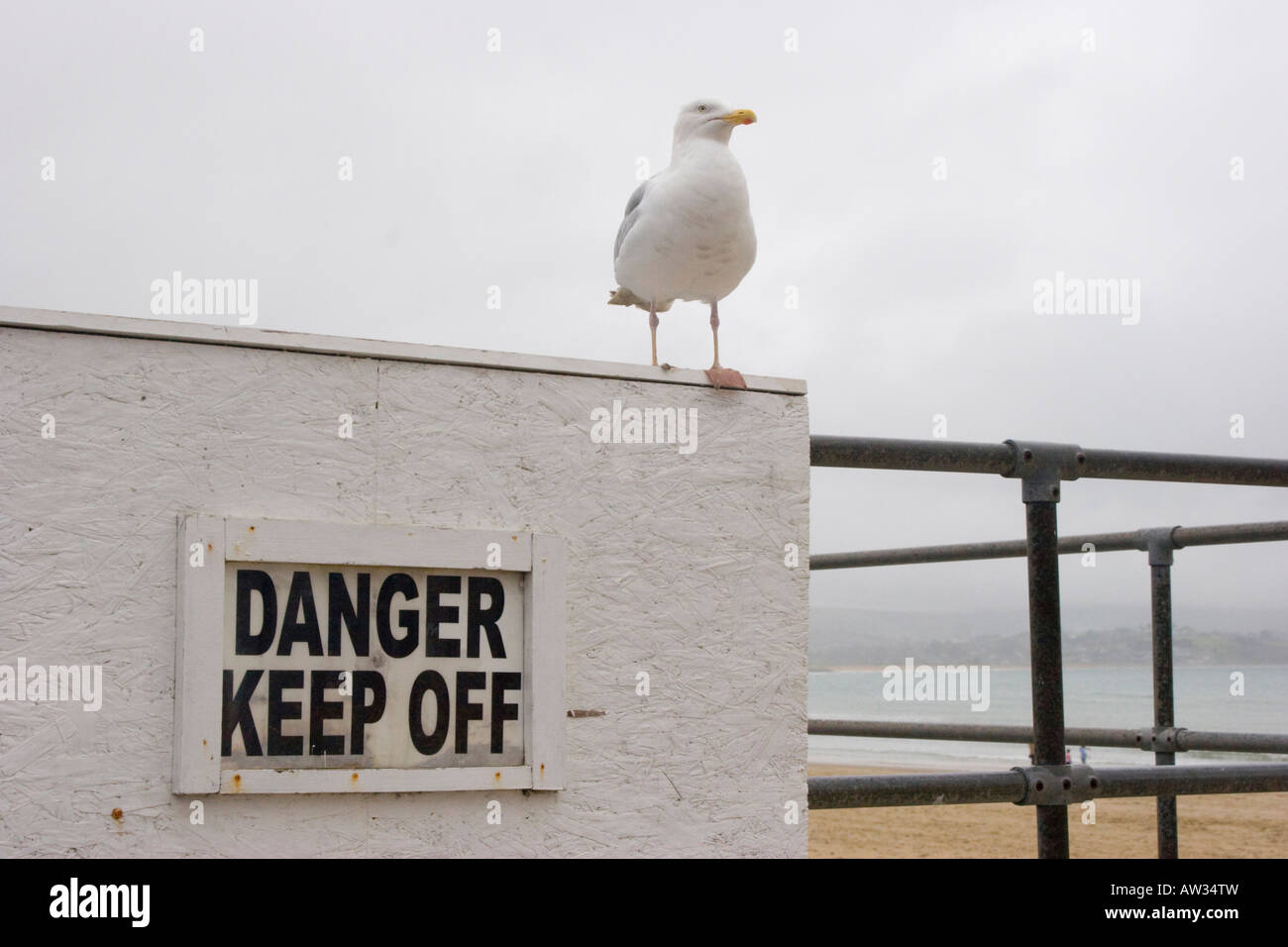 Seagulls ignoring a danger keep off warning sign Stock Photo - Alamy
