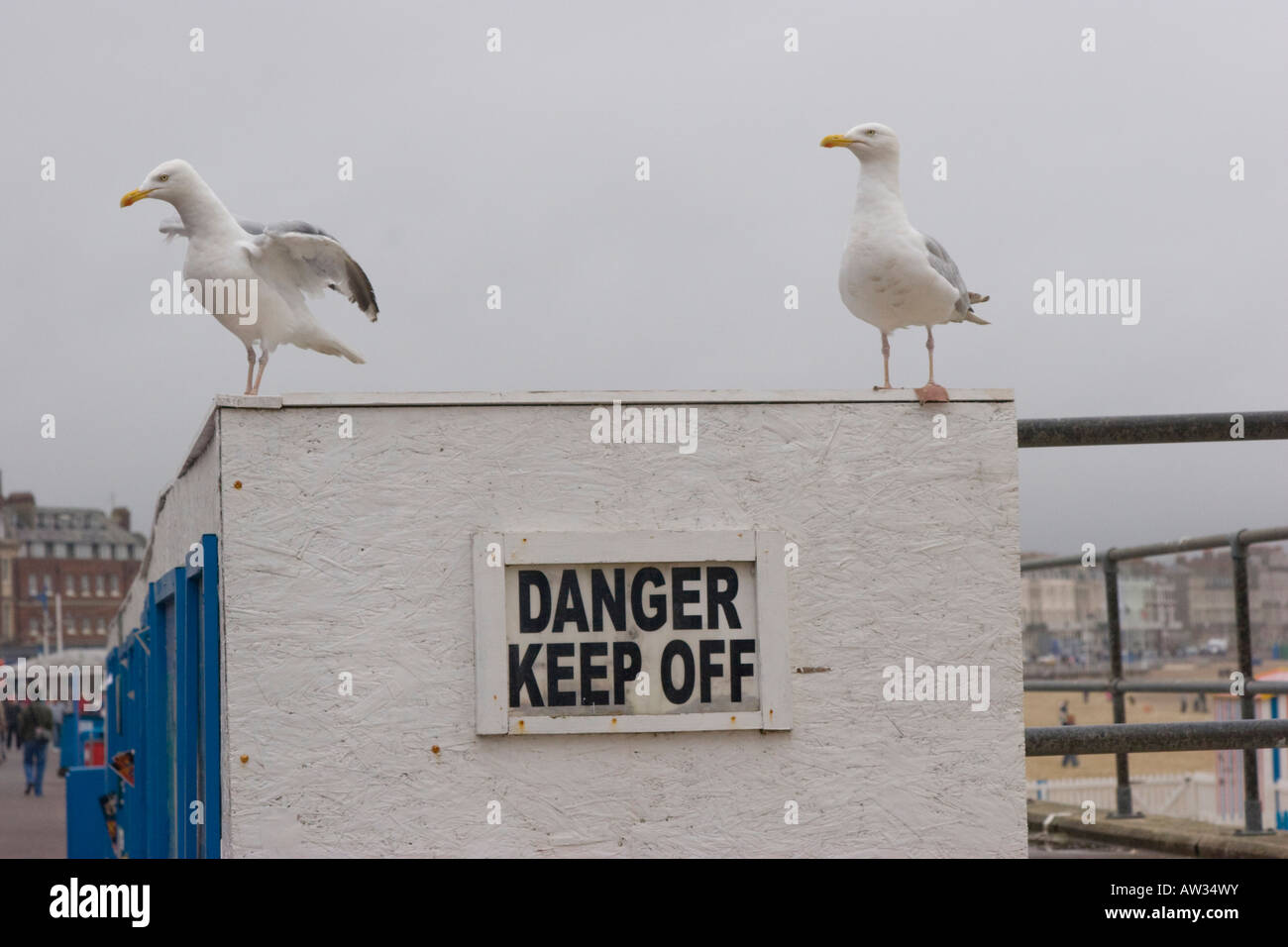 Danger warning ignored hi-res stock photography and images - Alamy