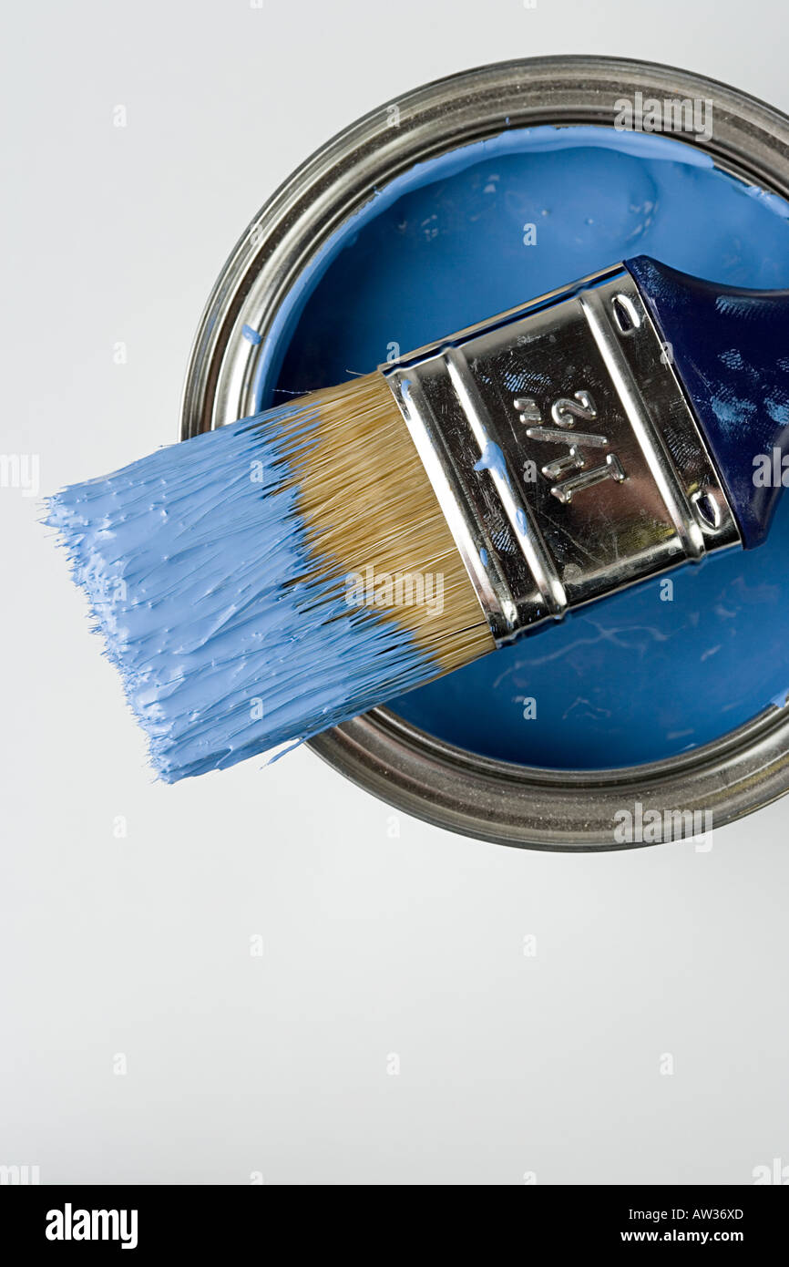 Paintbrush and blue paint Stock Photo - Alamy