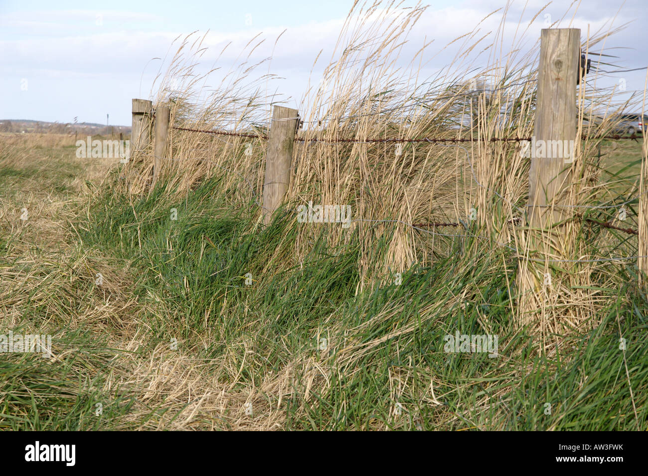 Sever Way Walk Arlingham Gloucestershire England Stock Photo - Alamy
