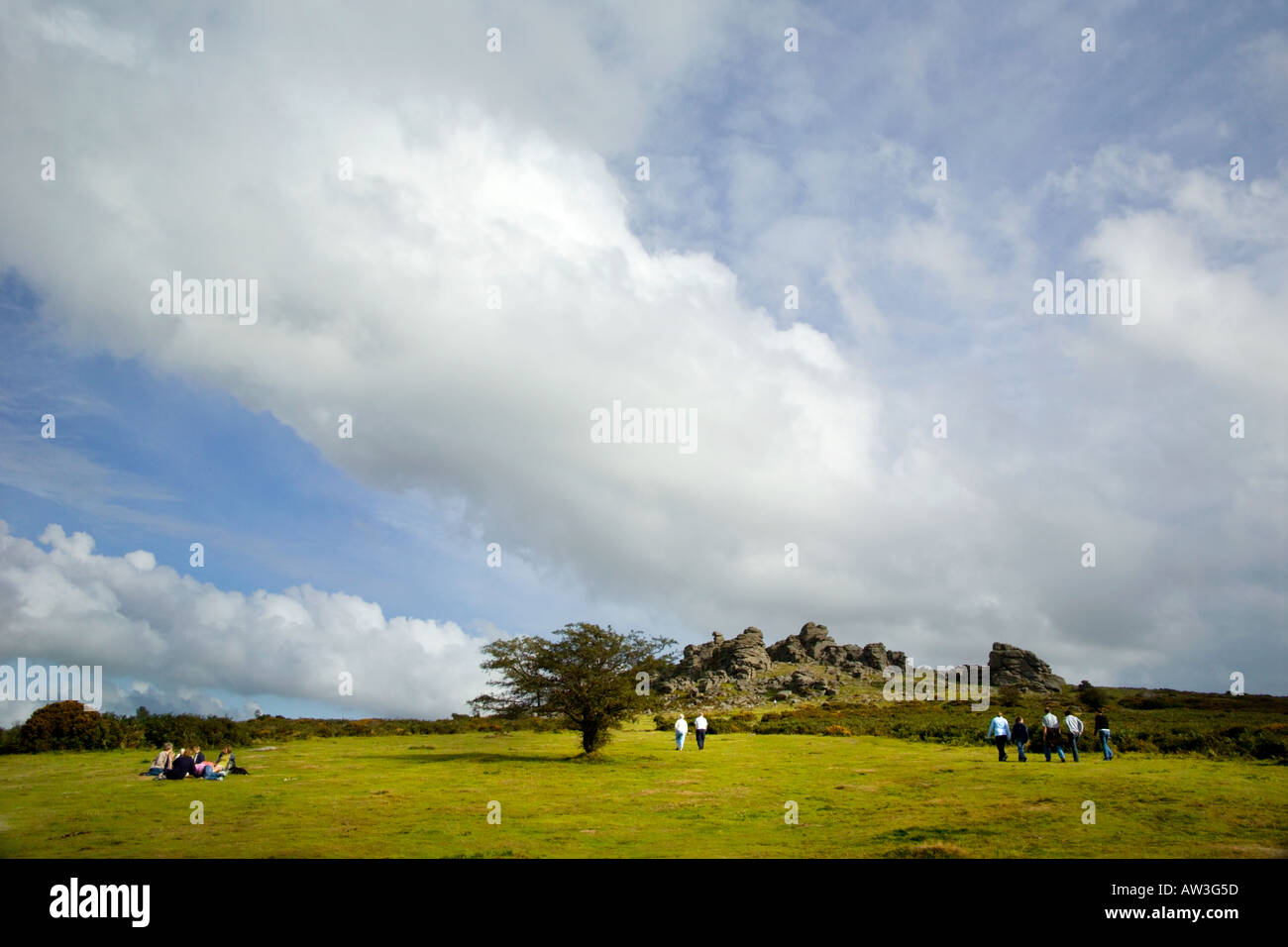 england south west devon dartmoor national park tor tors moor moorland ...