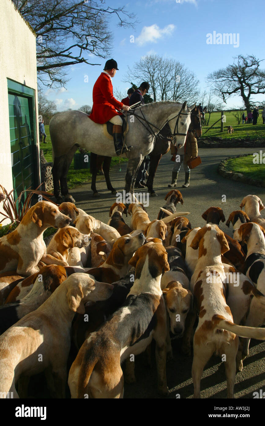 Fox Hunt, horses and hounds looking for fox. Red coat. farm land, green ...
