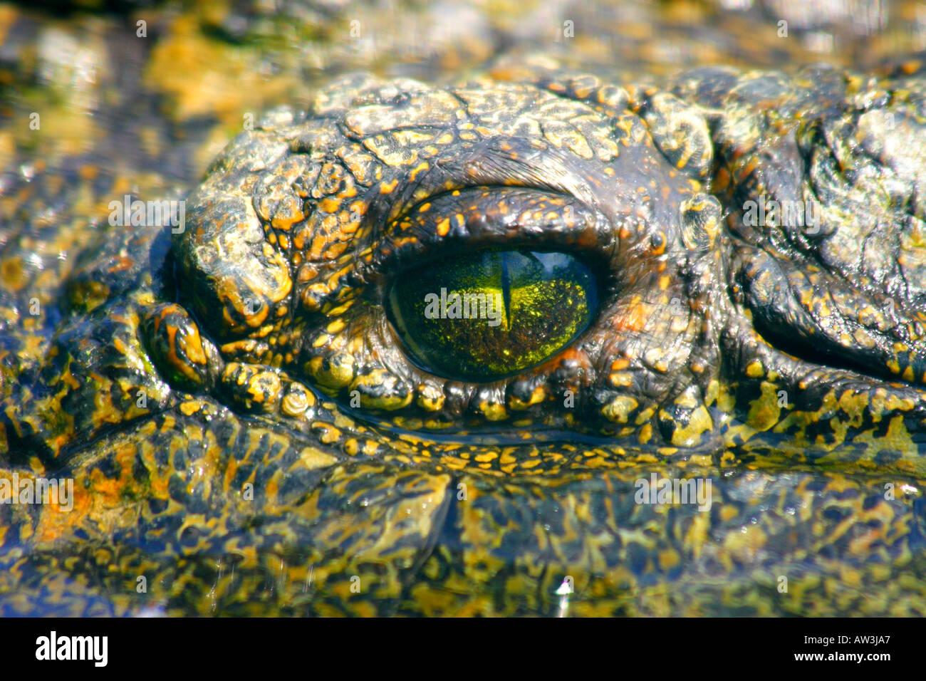 Eye of sauron hi-res stock photography and images - Alamy