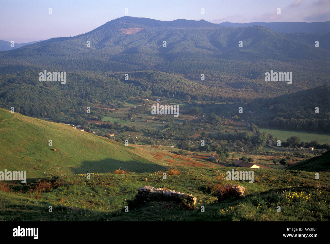 Tuscolo hi-res stock photography and images - Alamy
