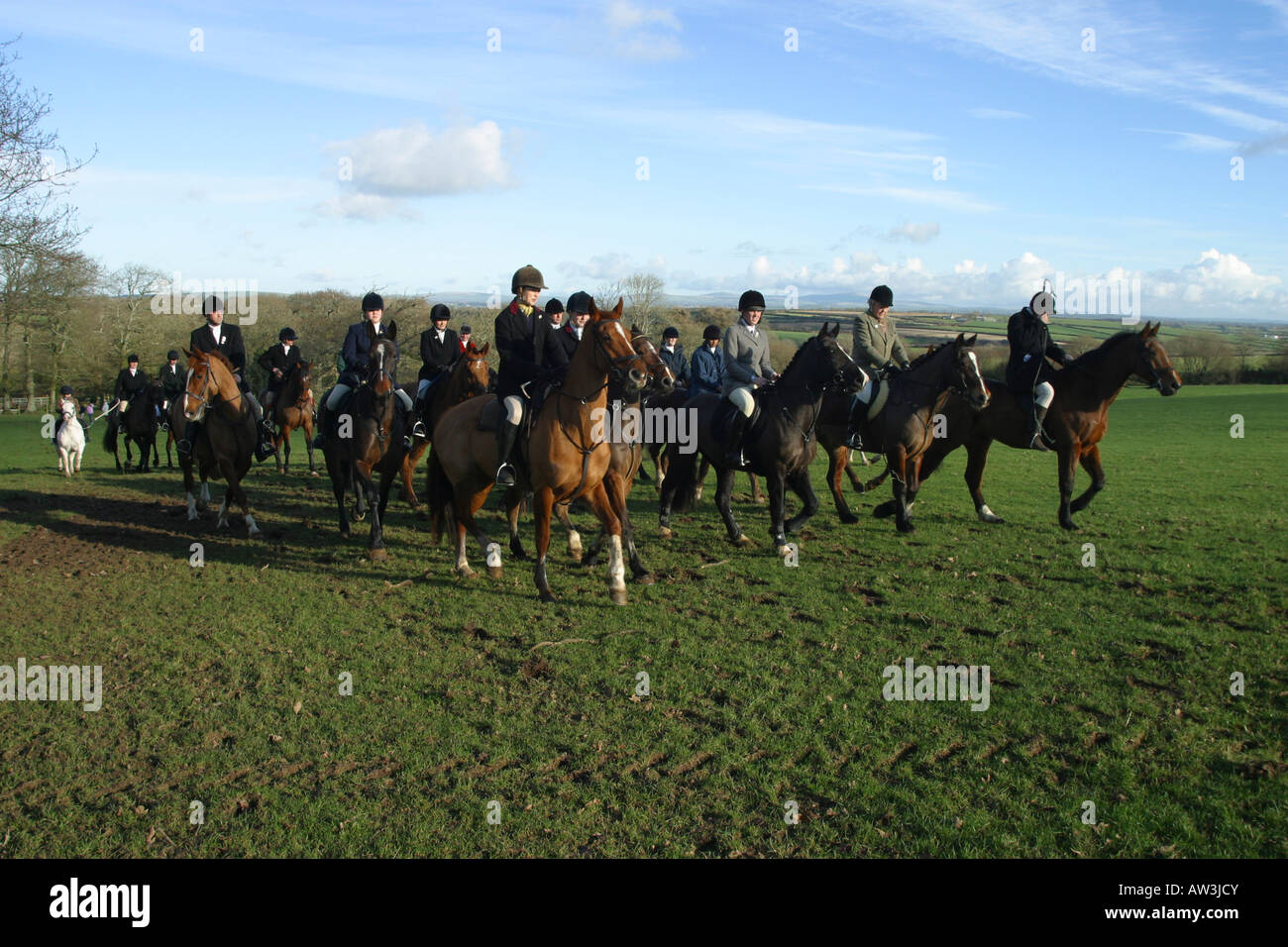 Fox Hunt, horses and hounds looking for fox. Red coat. farm land, green ...