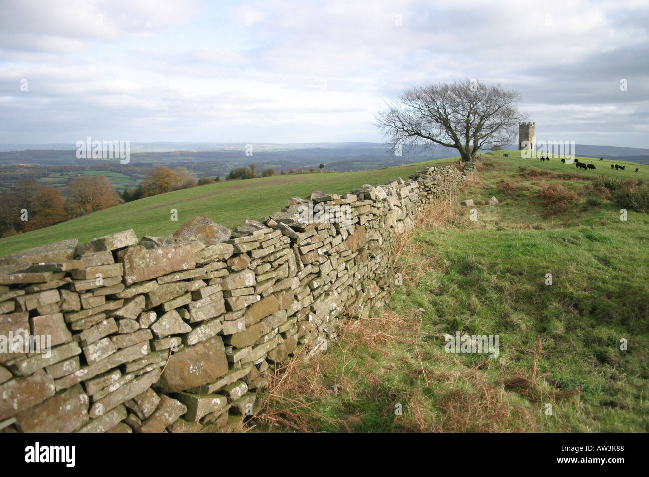 The Folly at Pontypool in South Wales Stock Photo - Alamy