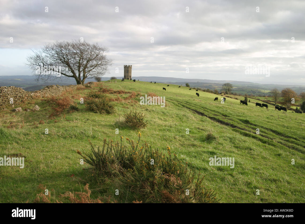 The Folly at Pontypool, South Wales Stock Photo - Alamy