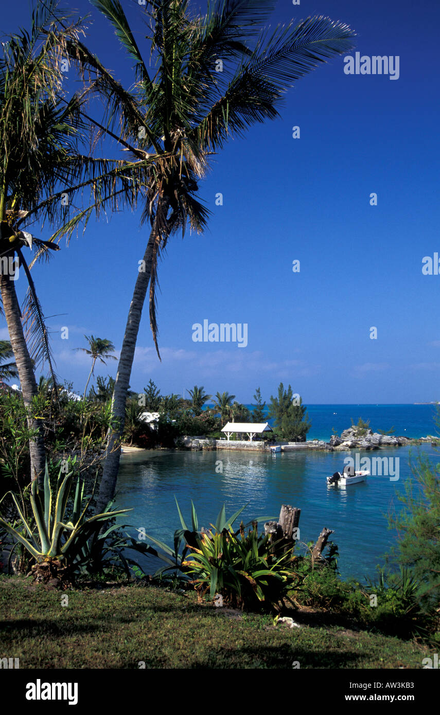 Mangrove Bay, Bermuda Stock Photo - Alamy