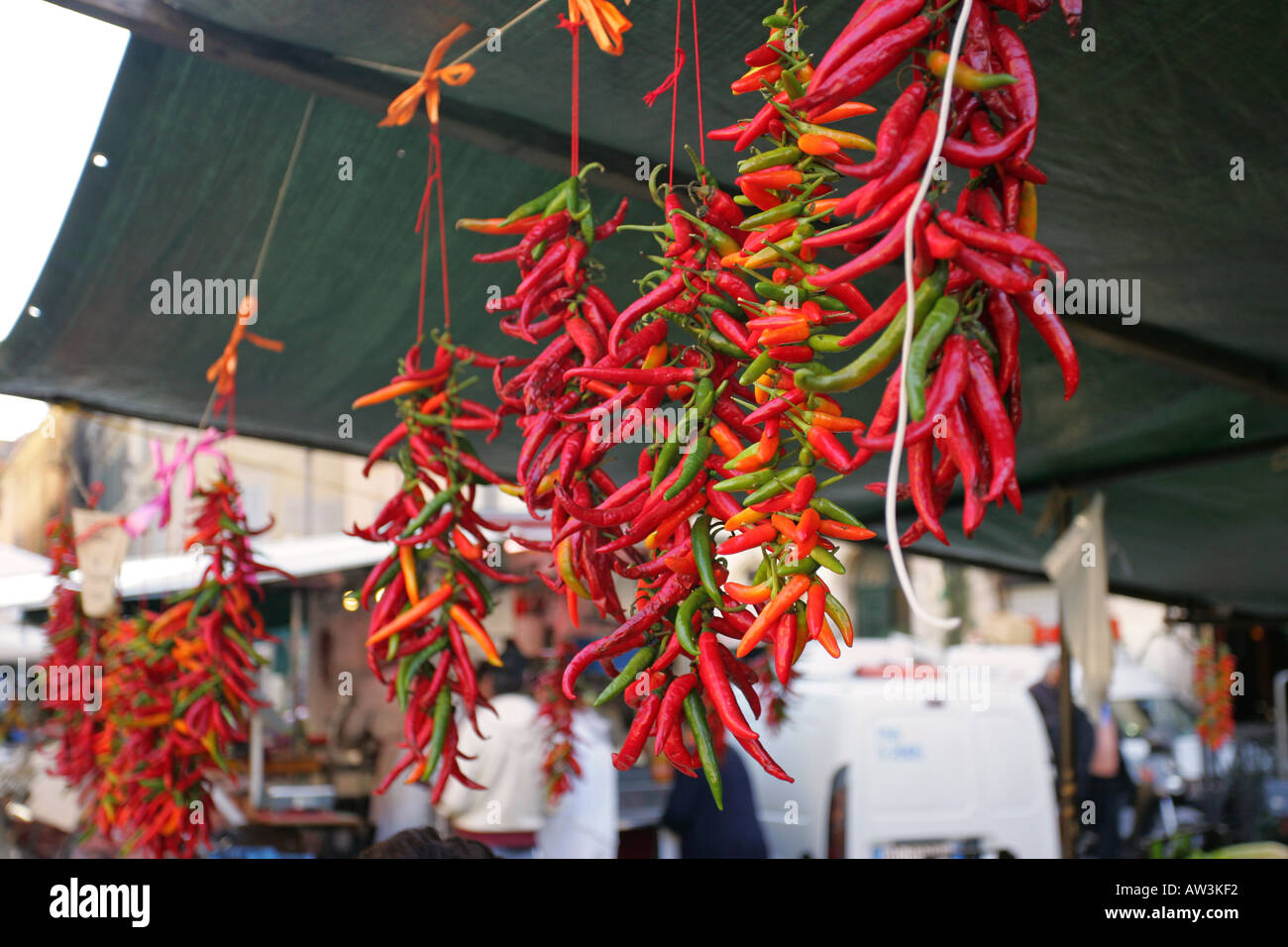 Bright red, green and orange chili peppers hanging up for sale on a ...