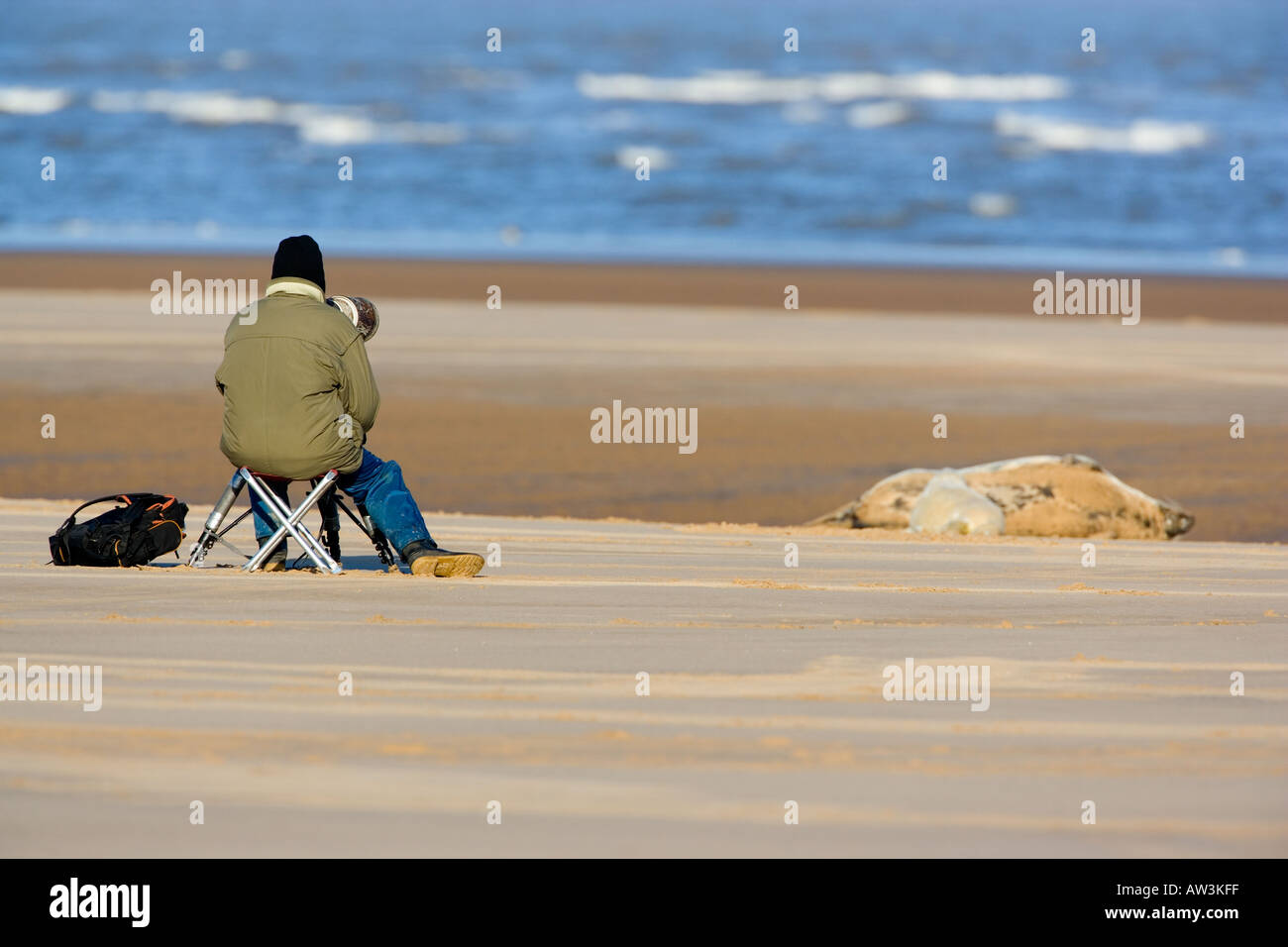 Man sitting on stool with long lens and tripod photographing Seals at ...