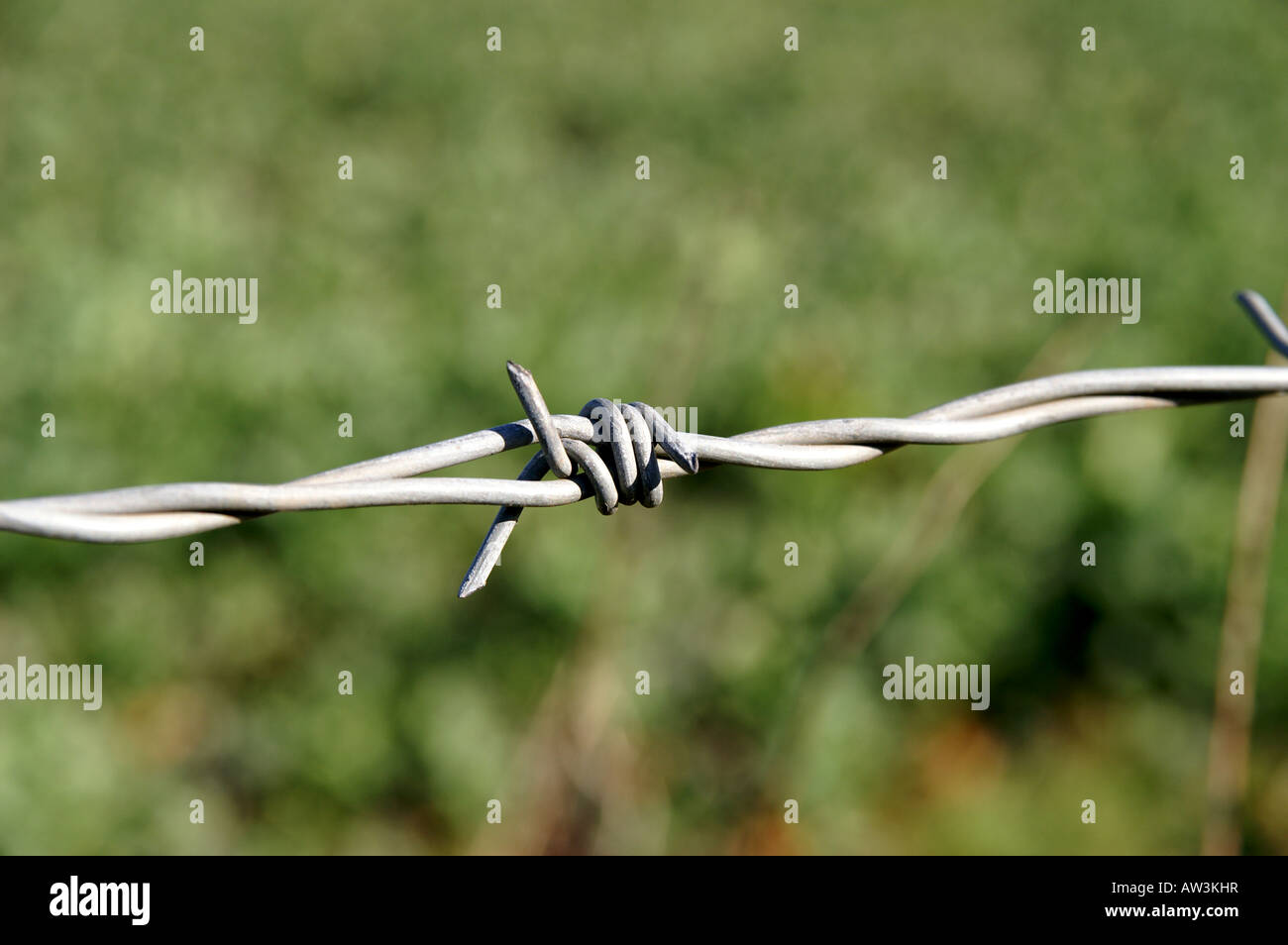 Hedge row, bokeh hi-res stock photography and images - Alamy