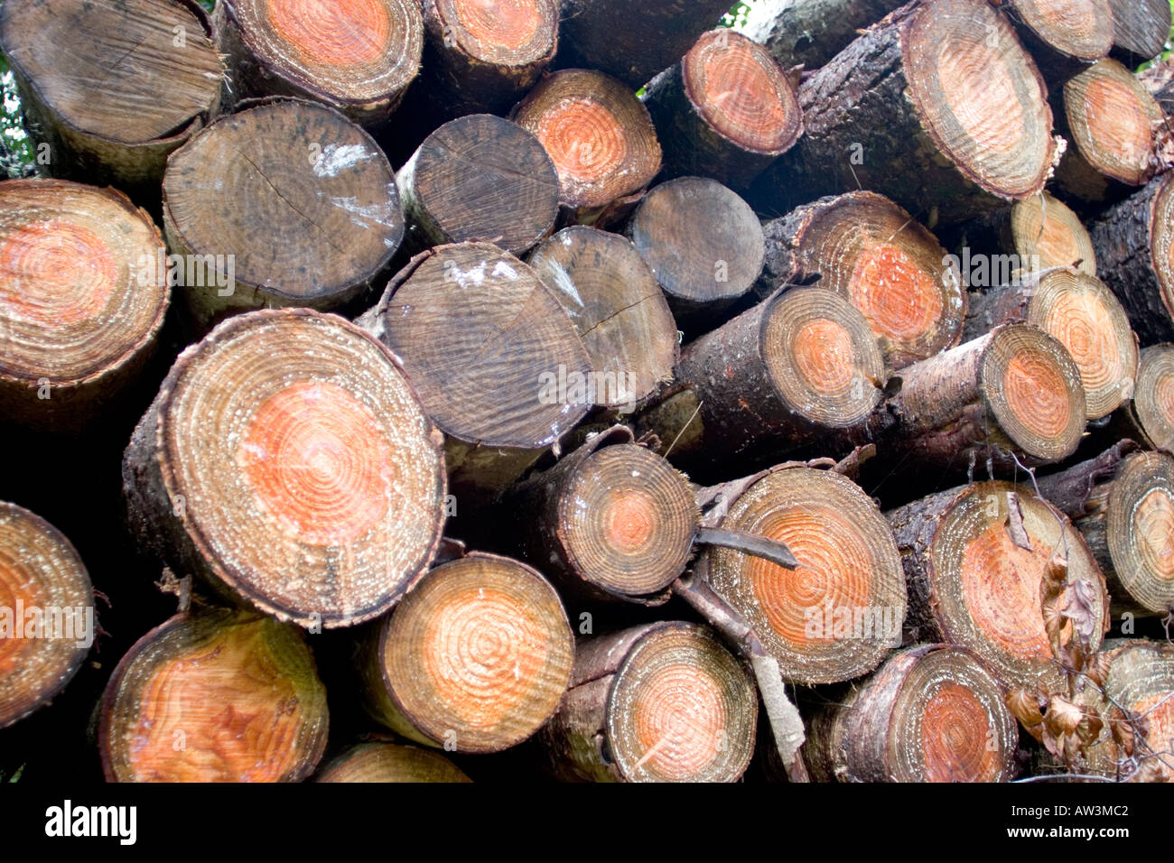 Full cut hi-res stock photography and images - Alamy