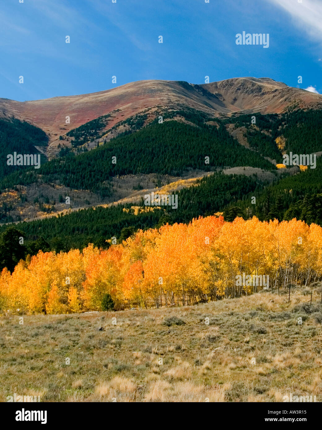 Mount Elbert, the tallest mountain in Colorado, with bright layers of ...