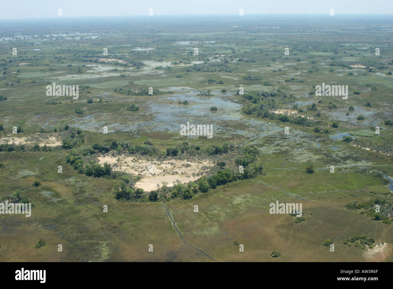 Okavango Delta, Botswana, Africa Stock Photo - Alamy